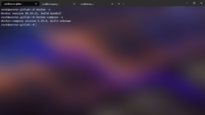 Setup Gitlab CICD pipeline private registry - elroydevops