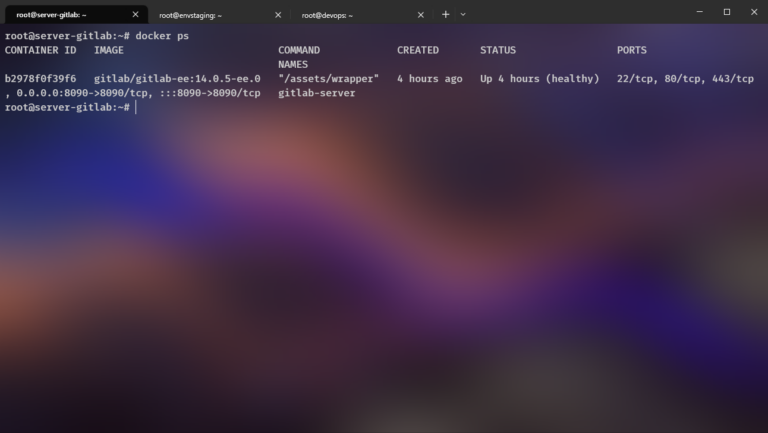 Setup Gitlab CICD pipeline private registry - elroydevops