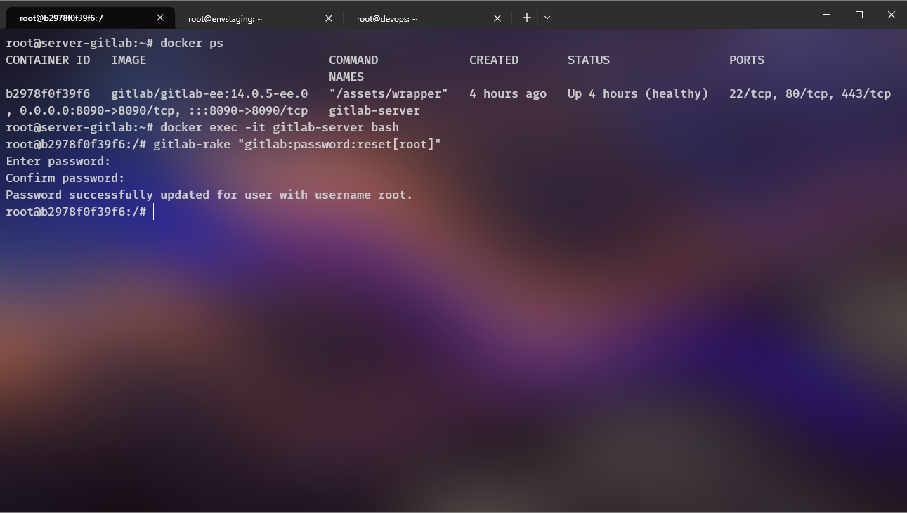 Setup Gitlab CICD pipeline private registry - elroydevops