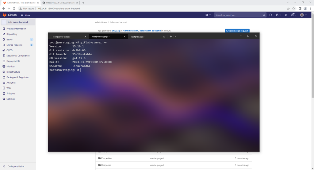 Setup Gitlab CICD pipeline private registry - elroydevops